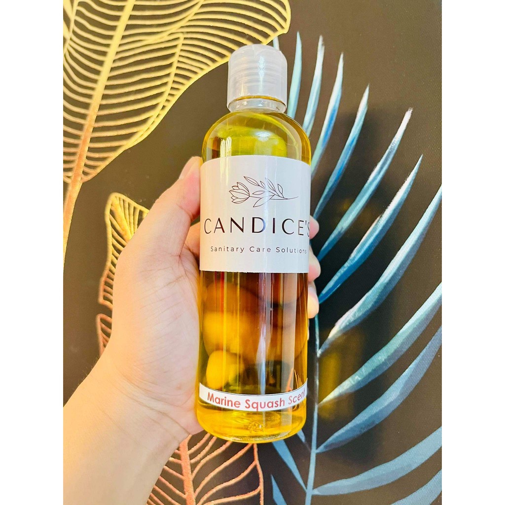 Water-based Anti-Bacterial Humidifier Marine Squash Scent | Lazada PH