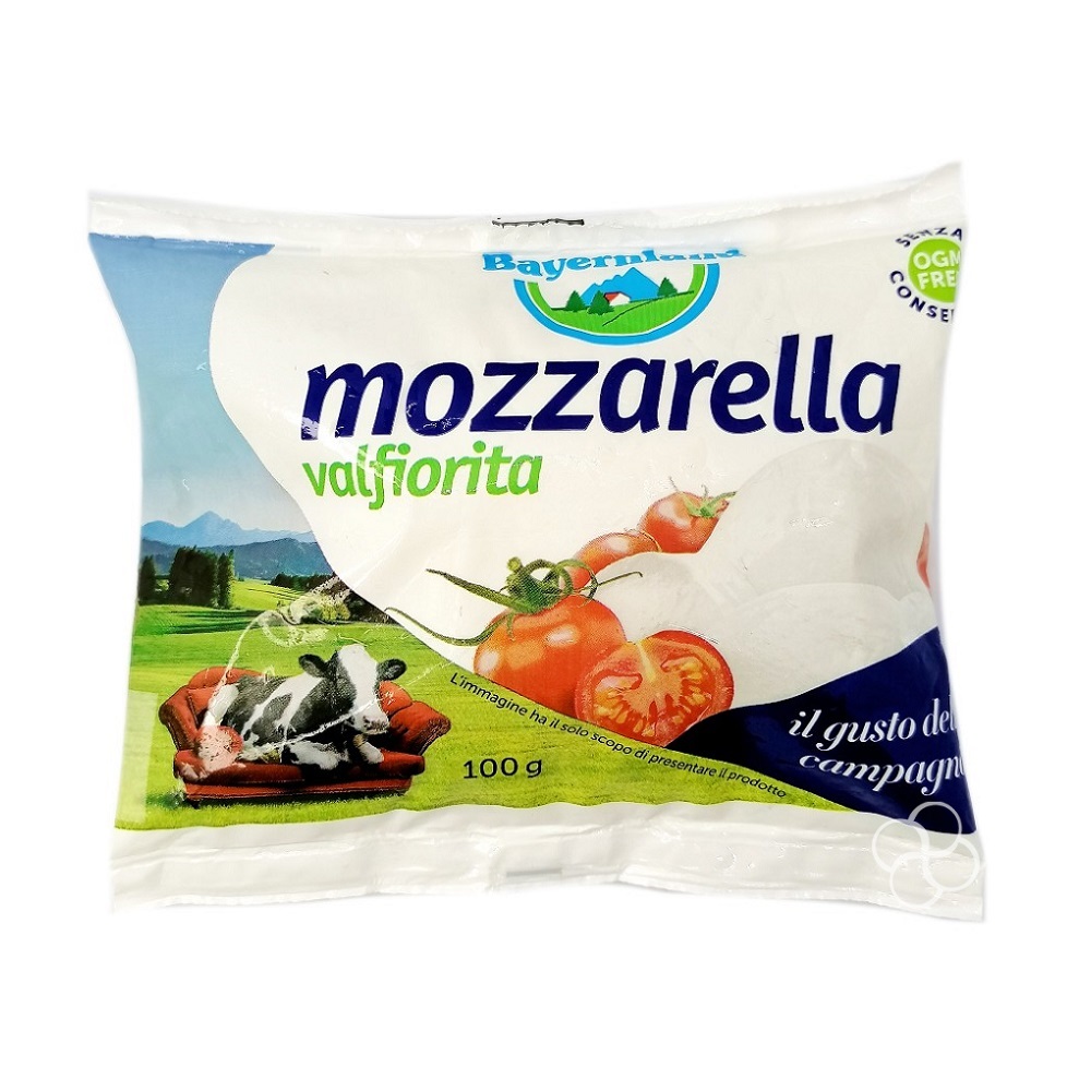 Bayernland Mozzarella Fresca 100g | Lazada PH