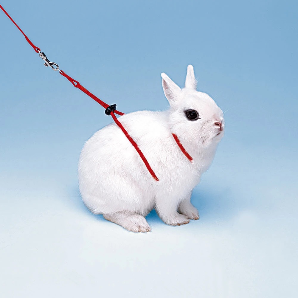 Ferplast Adjustable Rabbit harness | Lazada PH