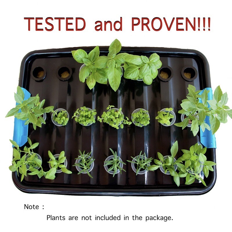 Kratky Hydroponics Container with Growing Kit (40L) | Lazada PH