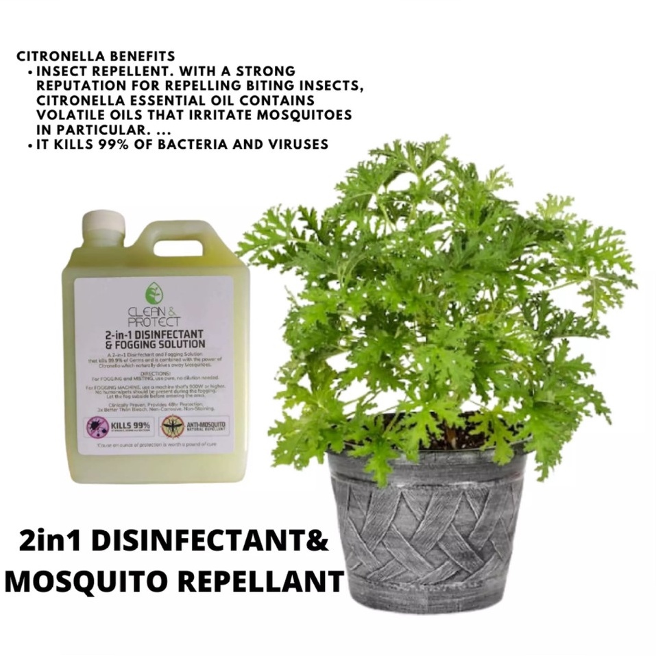Bunyan 2 in 1 Disinfectant and Mosquito Repellant 1 Liter Fogging ...