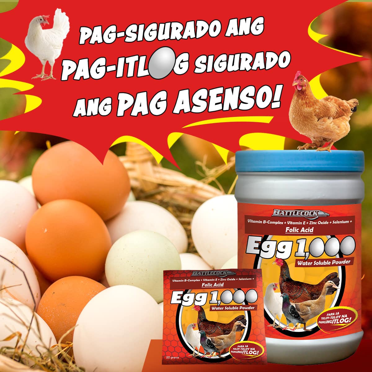 1 kilo Egg 1000 water soluble powder for breeder animals birds and ...