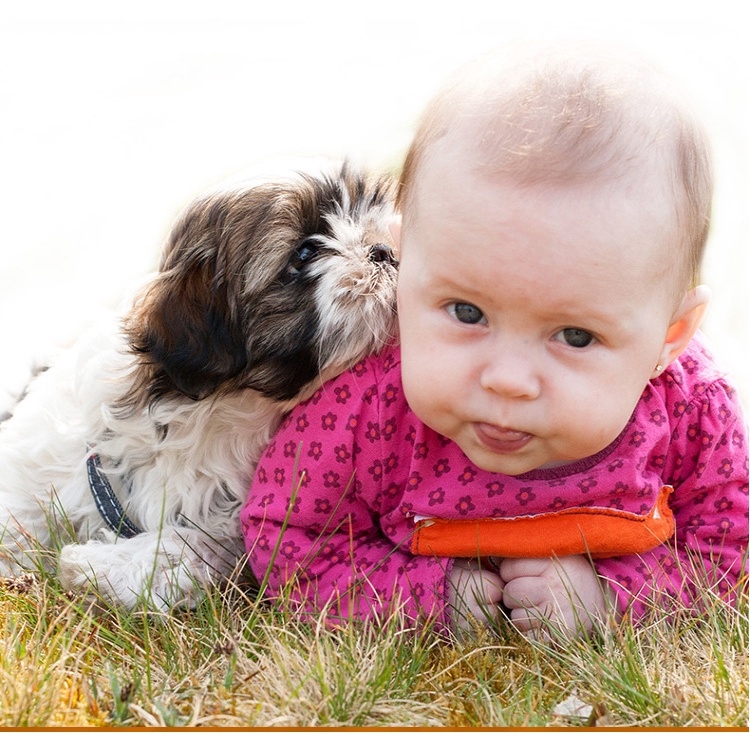 【vetcore】Pet Spray For Dog Cat Ringworm Solve the Problems of Fungus ...