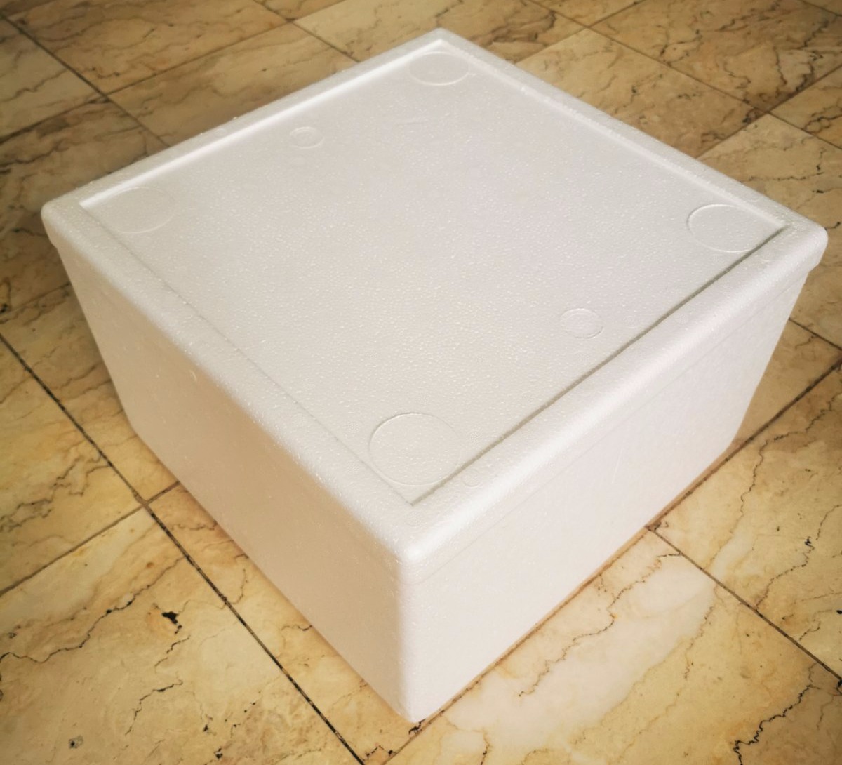 Styro Box for Hydroponic Farming | Lazada PH