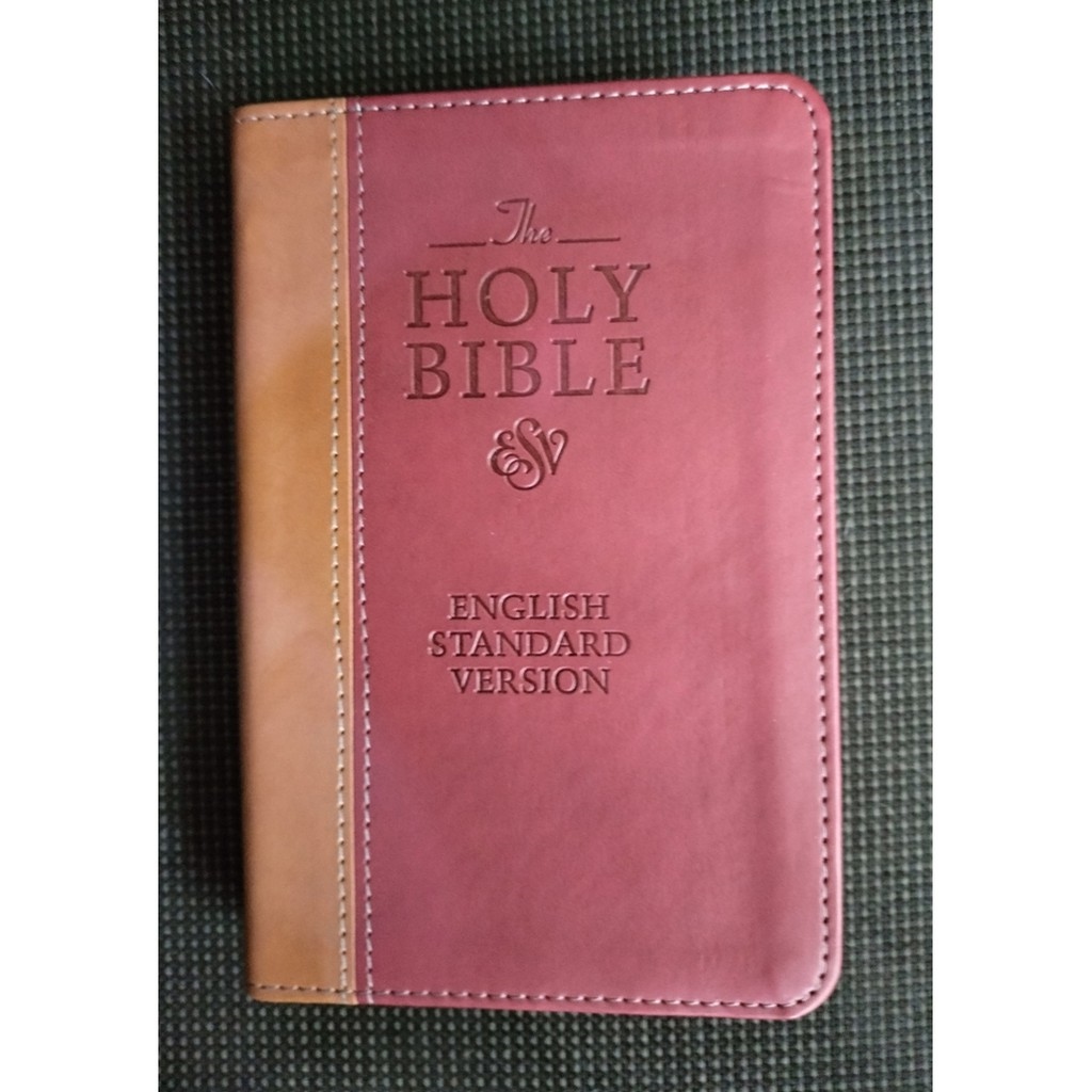 ESV English Standard Version - Holy Bible | Lazada PH