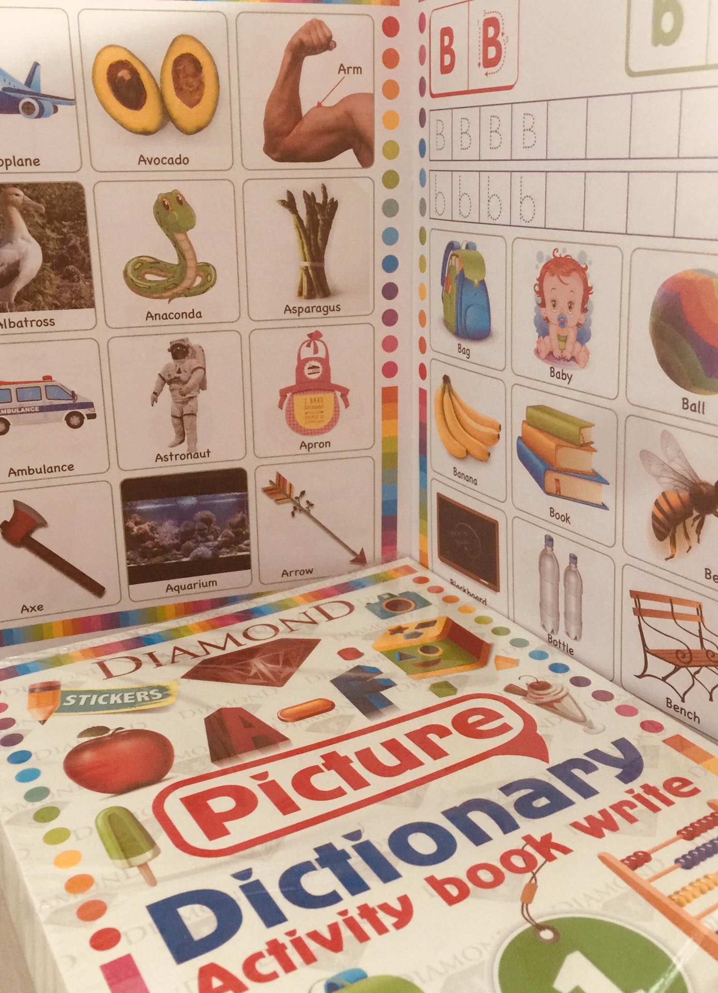 YMS Picture Dictionary Activity Book Write | Lazada PH