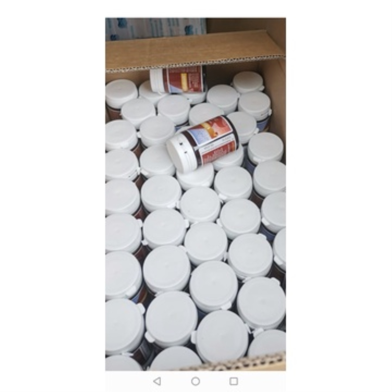 Vitaboli Vitamins Pigeon Supplement 10 PIECES | Lazada PH