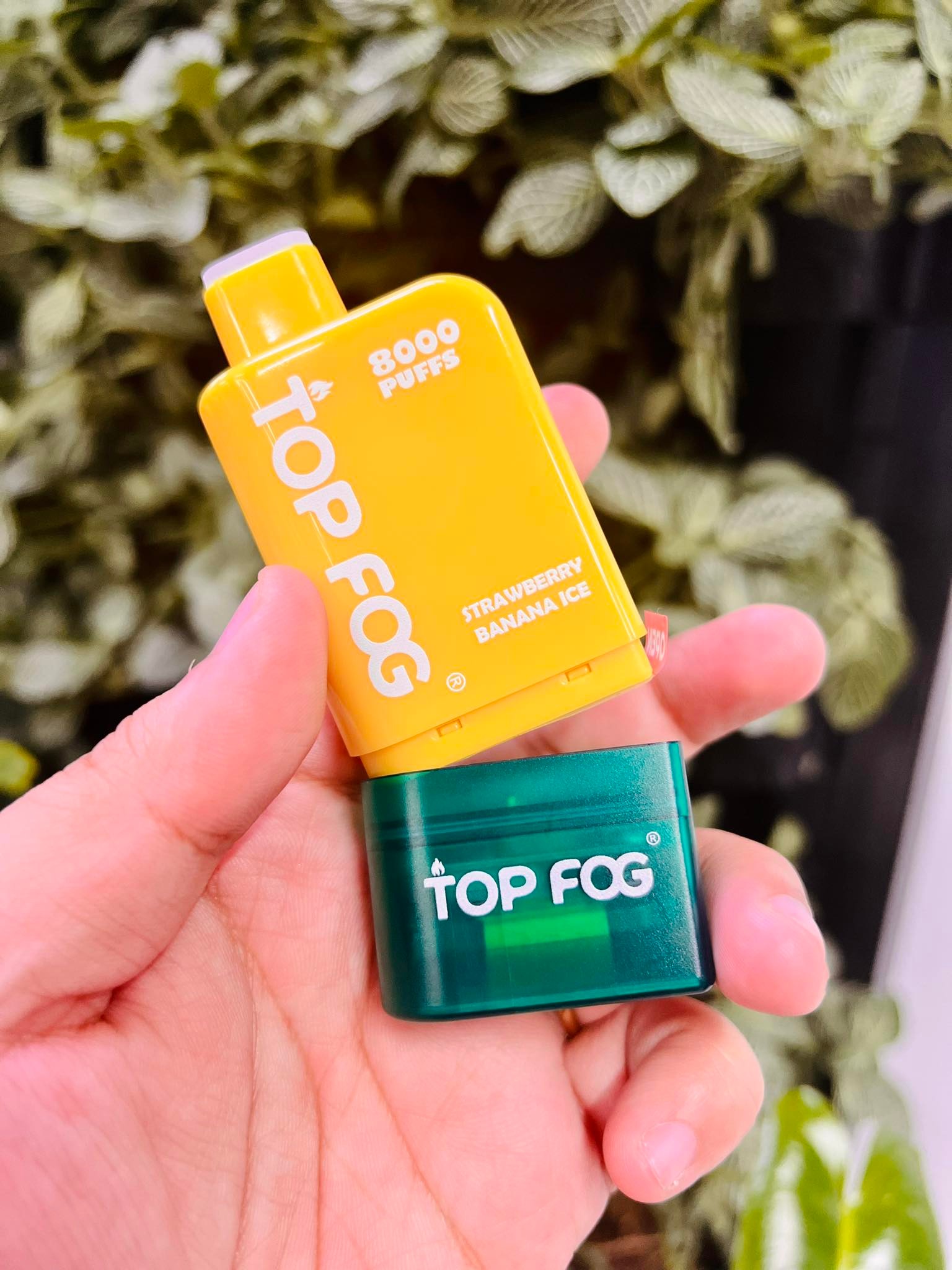 Topfag Replaceable Flavor with Device Dispo 8000 Puffs Set Ready ...