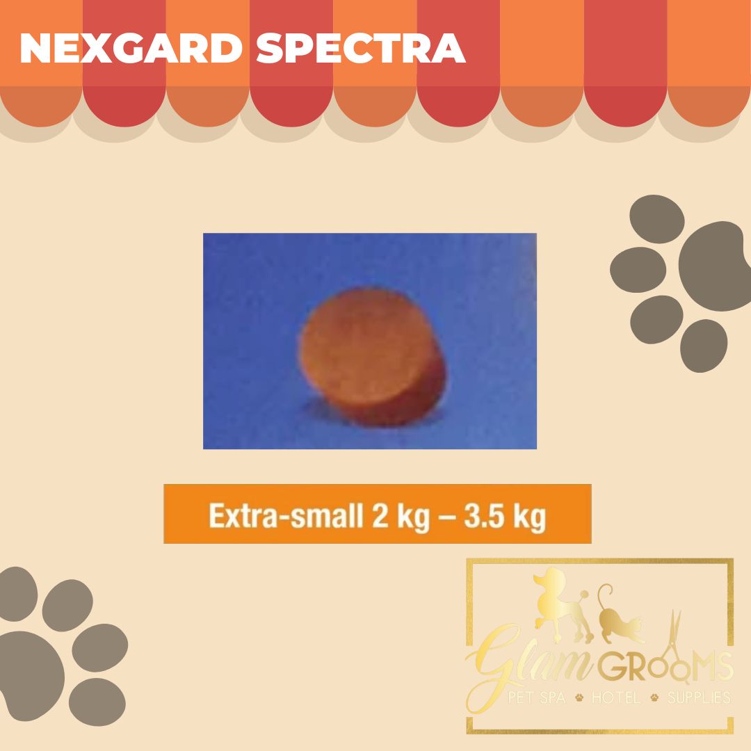 Nexgard Spectra Chewable Tablet | Lazada PH