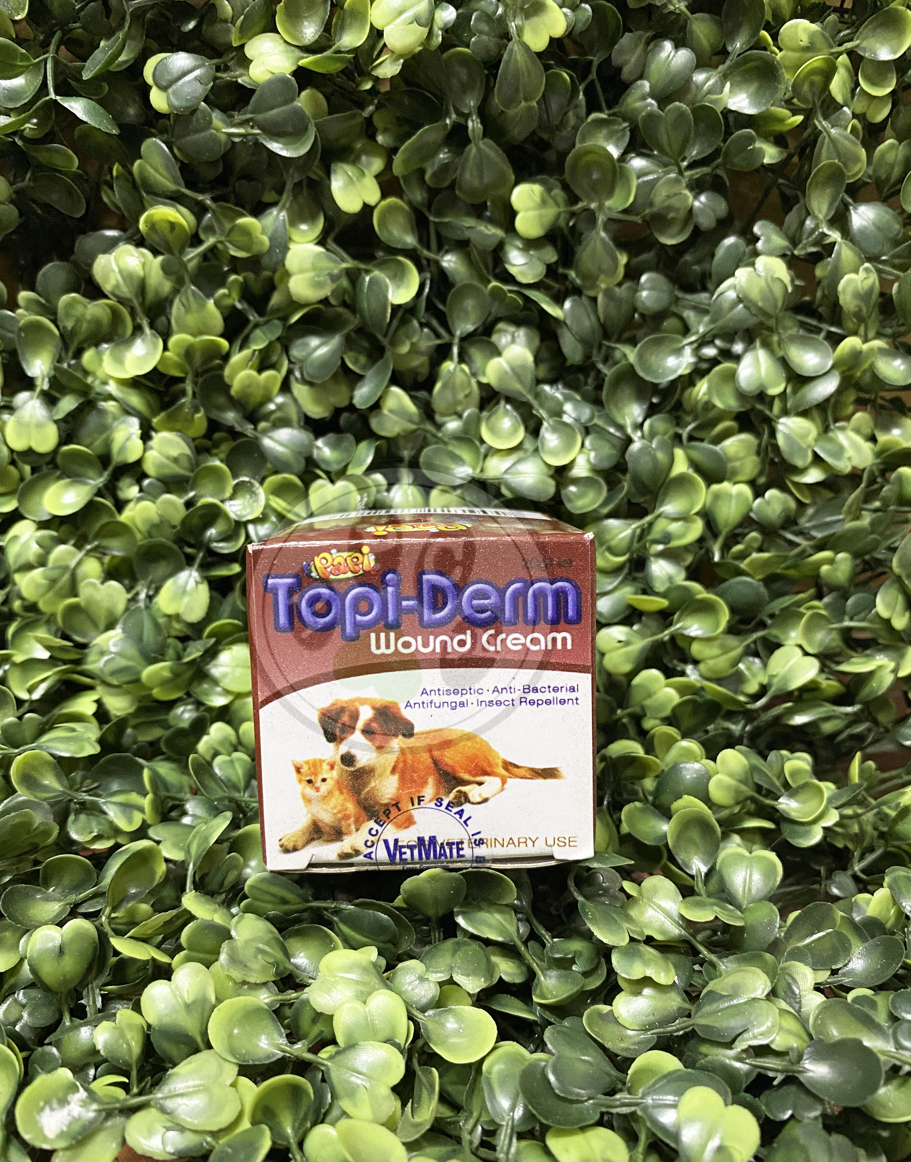 Papi Topi-Derm Wound Cream | Lazada PH