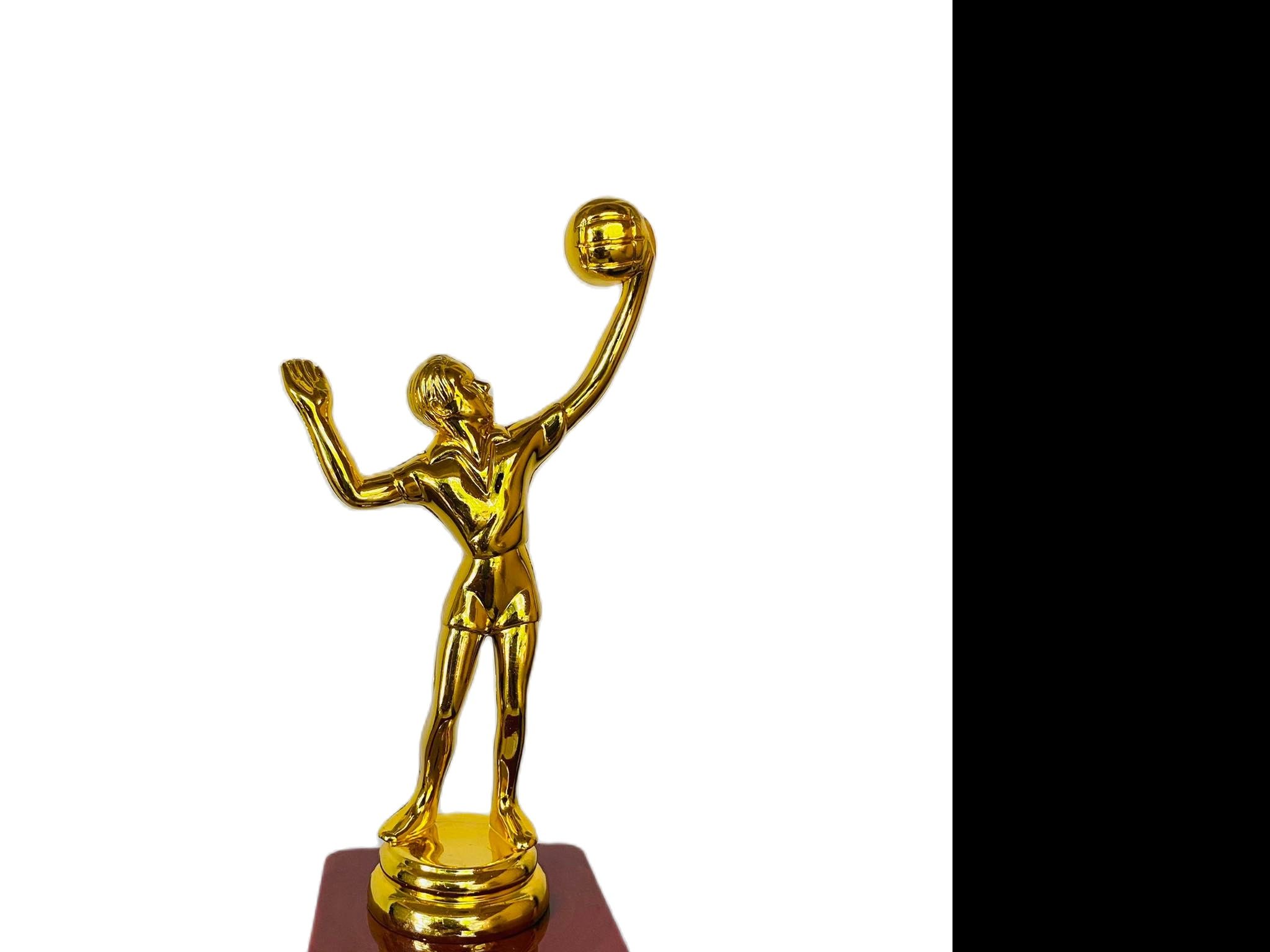 MVP Volleyball TROPHY Gold | Lazada PH