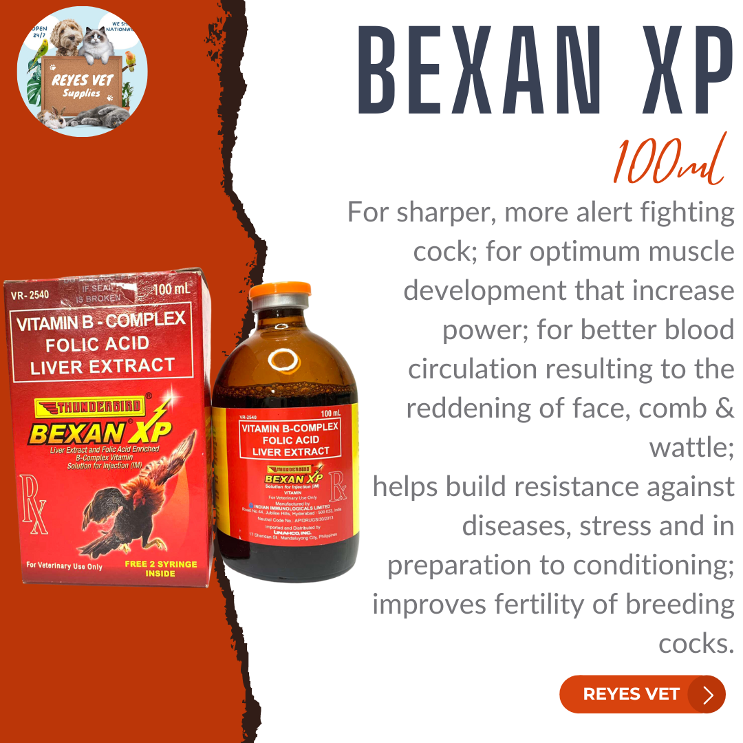 [VET SUPPORT] 100ml THUNDERBIRD BEXAN XP for GAMEFOWL : PARA SA MANOK ...