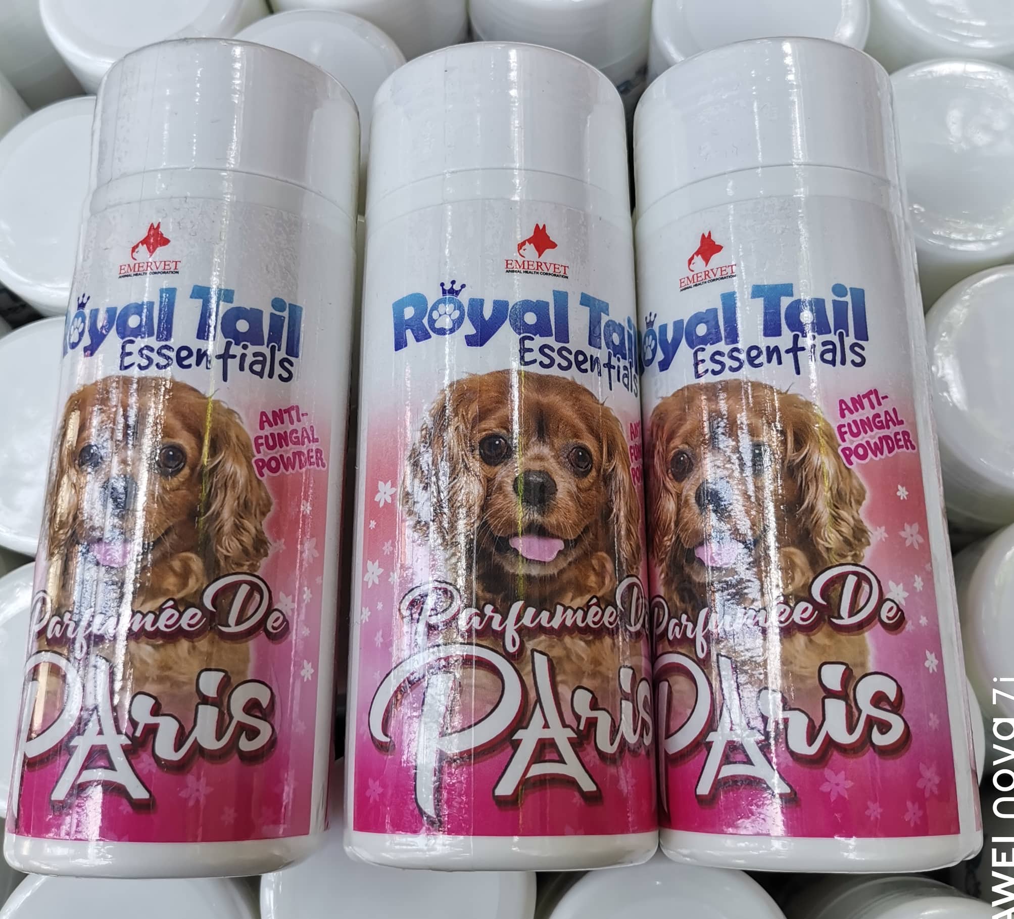 ROYAL TAIL ESSENTIALS POWDER 100G | Lazada PH