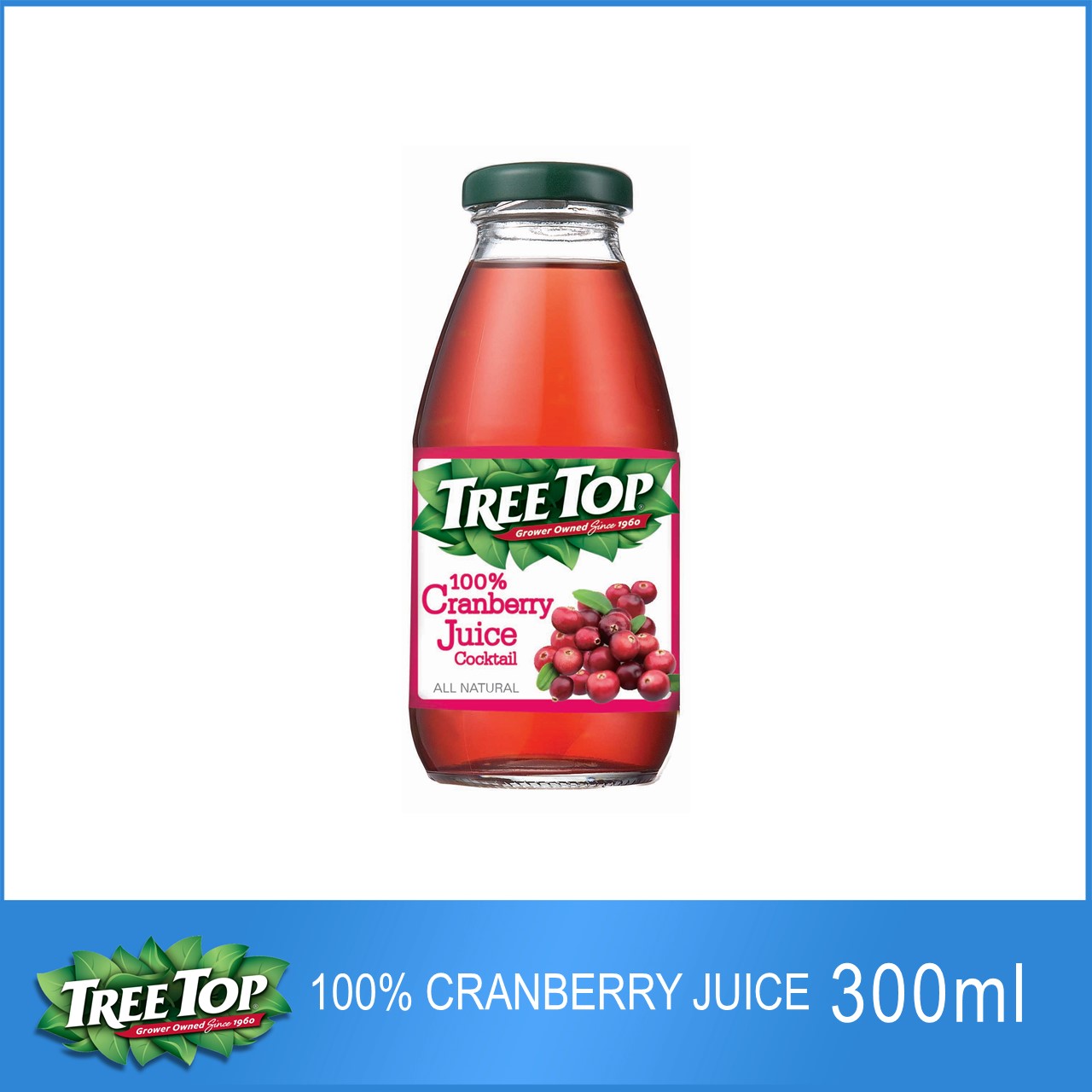 Treetop 100% Cranberry Juice 300ml | Lazada PH