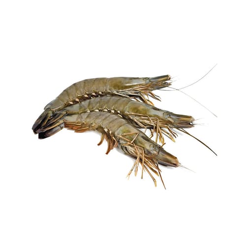 Frozen Sugpo "Tiger Prawn" (500g) | Lazada PH
