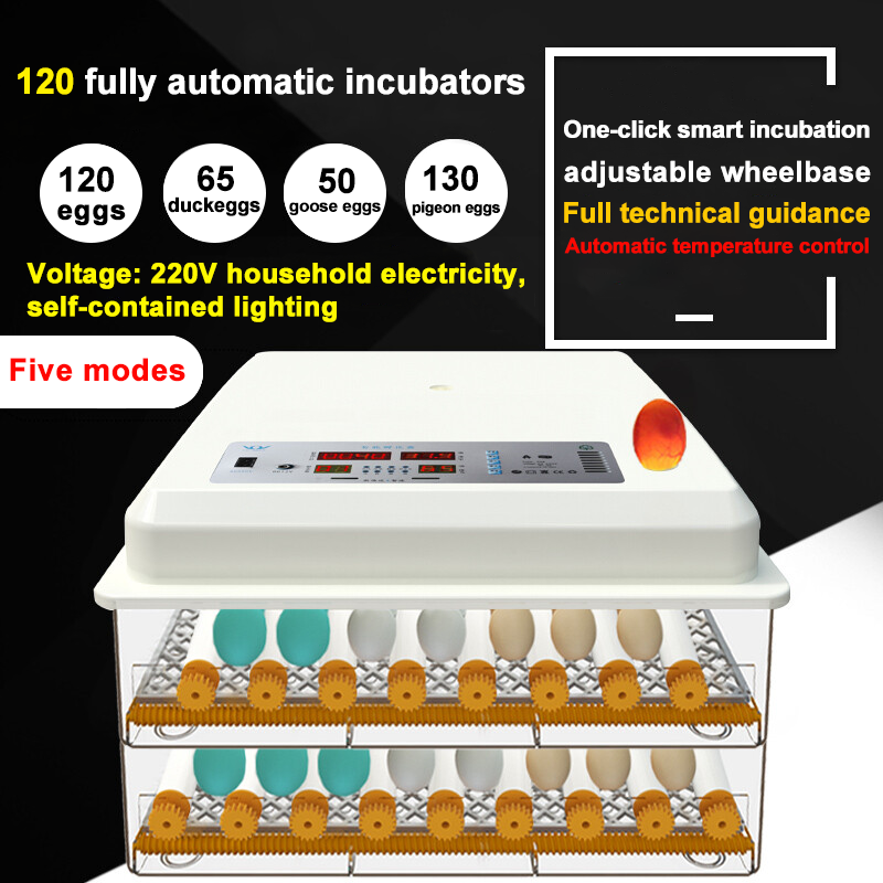 Fully Automatic Digital Incubator 220V Egg Incubator 16/36/64/120 Egg ...