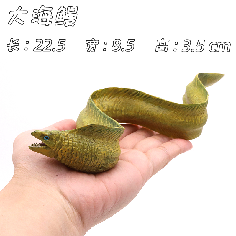Marine Animal Simulation Sea Eel Wolf Tooth Fish Electric Eel Model Toy ...