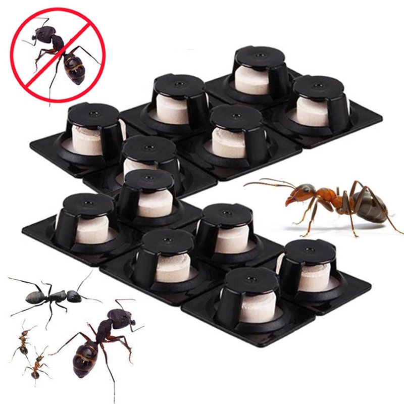 6Pcs/Lot Ant Agent Ant Killing Powder Bait Ants Repellent Repeller Trap ...