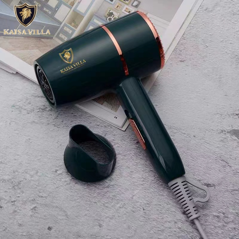 Kaisa Villa Professional Blower Hair Dryer Foldable Electric Hair ...