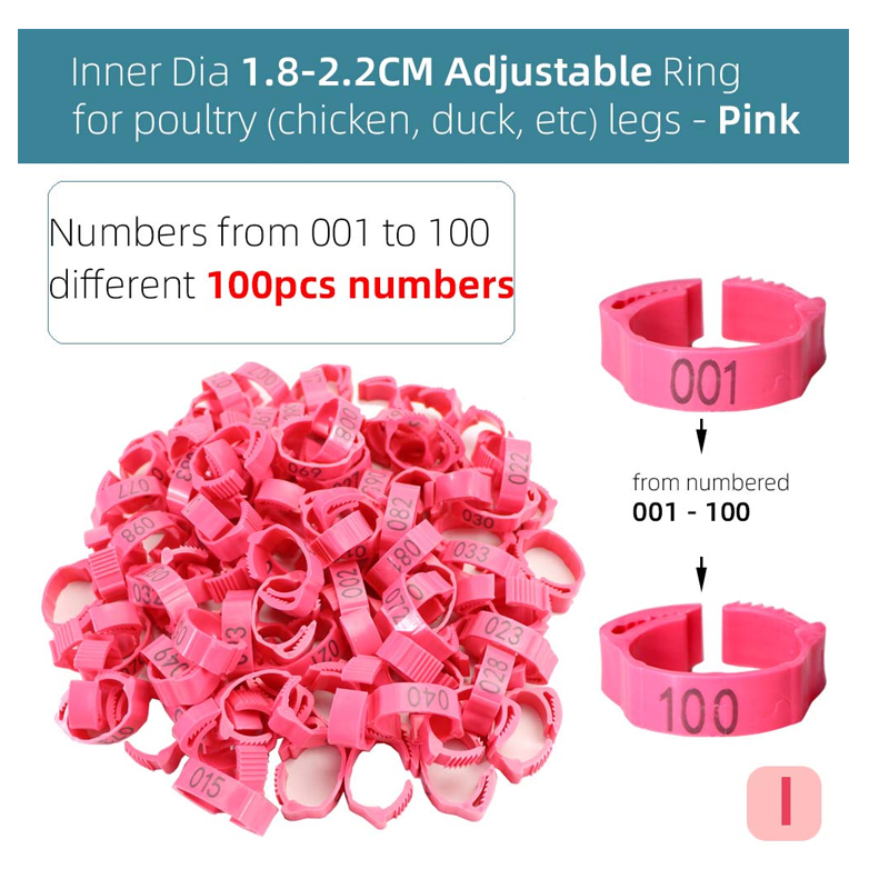 100Pcs Poultry Clip Ring Adjustable Chicken Foot Ring 6 Colors Identify ...