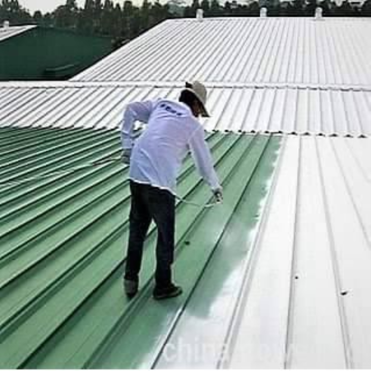 Interior Decorations Dexpro Thermal Insulating Powder for Paint ...