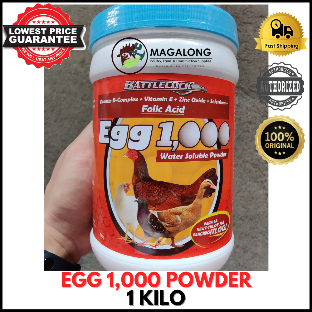 EGG 1000 POWDER 1 KG - 1 KILO - BATTLECOCK | Lazada PH