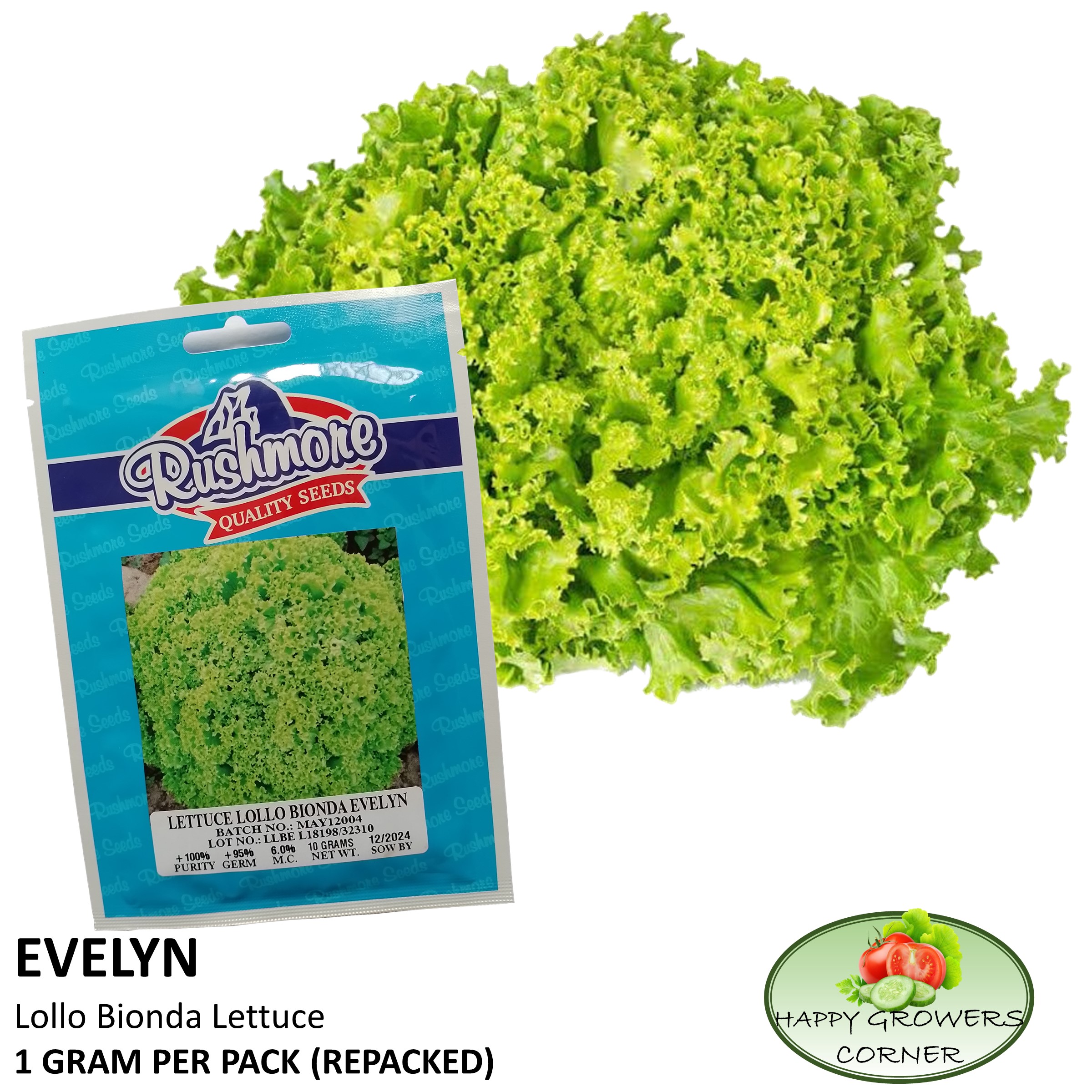 EVELYN Lollo Bionda Lettuce, RED COSMIC Lollor Rossa Lettuce Seeds by Rushmore Seeds (0.5,gram ...