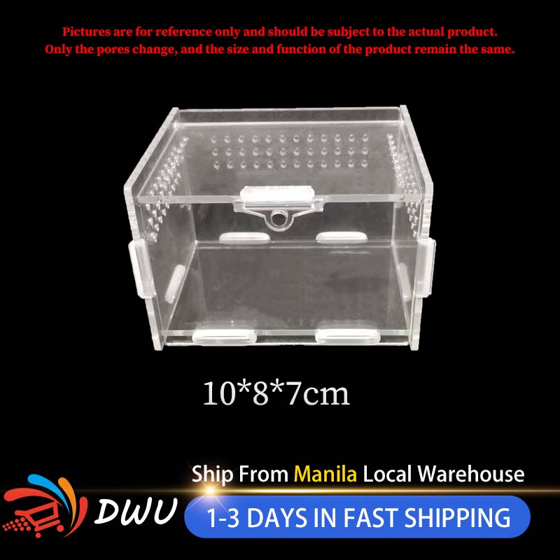Transparent Acrylic Insect Feeding Box Container Reptile Incubator ...