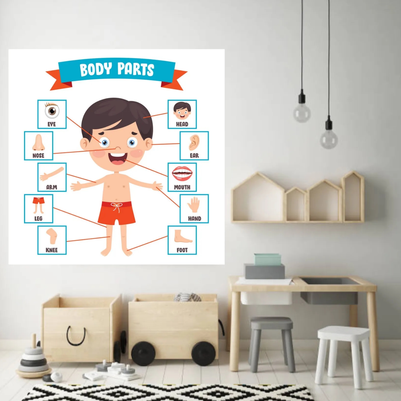 Laminated Parts of the Body for Kids, Learners and Educators, Colorful ...