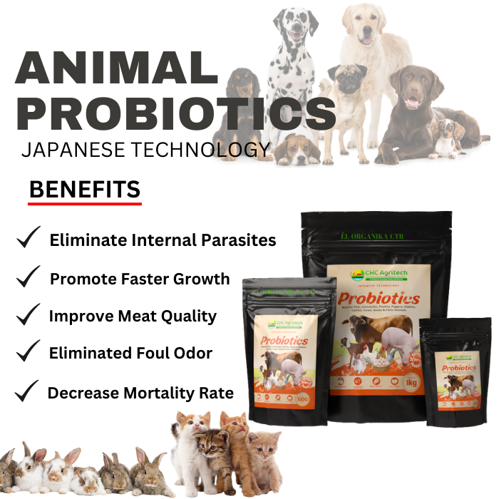 Japanese Technology CHC AGRITECH Probiotics 100g - Pets Dogs Cats ...