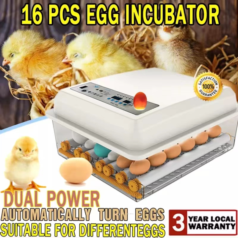 220V 12/16/ Eggs Incubator Digital Automatic Egg Incubator Fully ...
