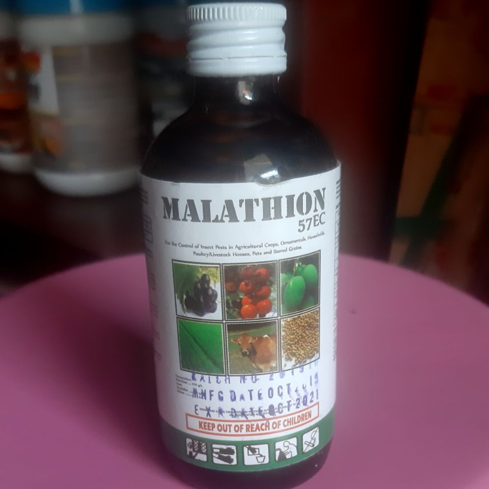 MALATHION 100 ML | Lazada PH