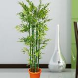 Artificial single long stem bamboo tree (150cm/60inch) | Lazada PH