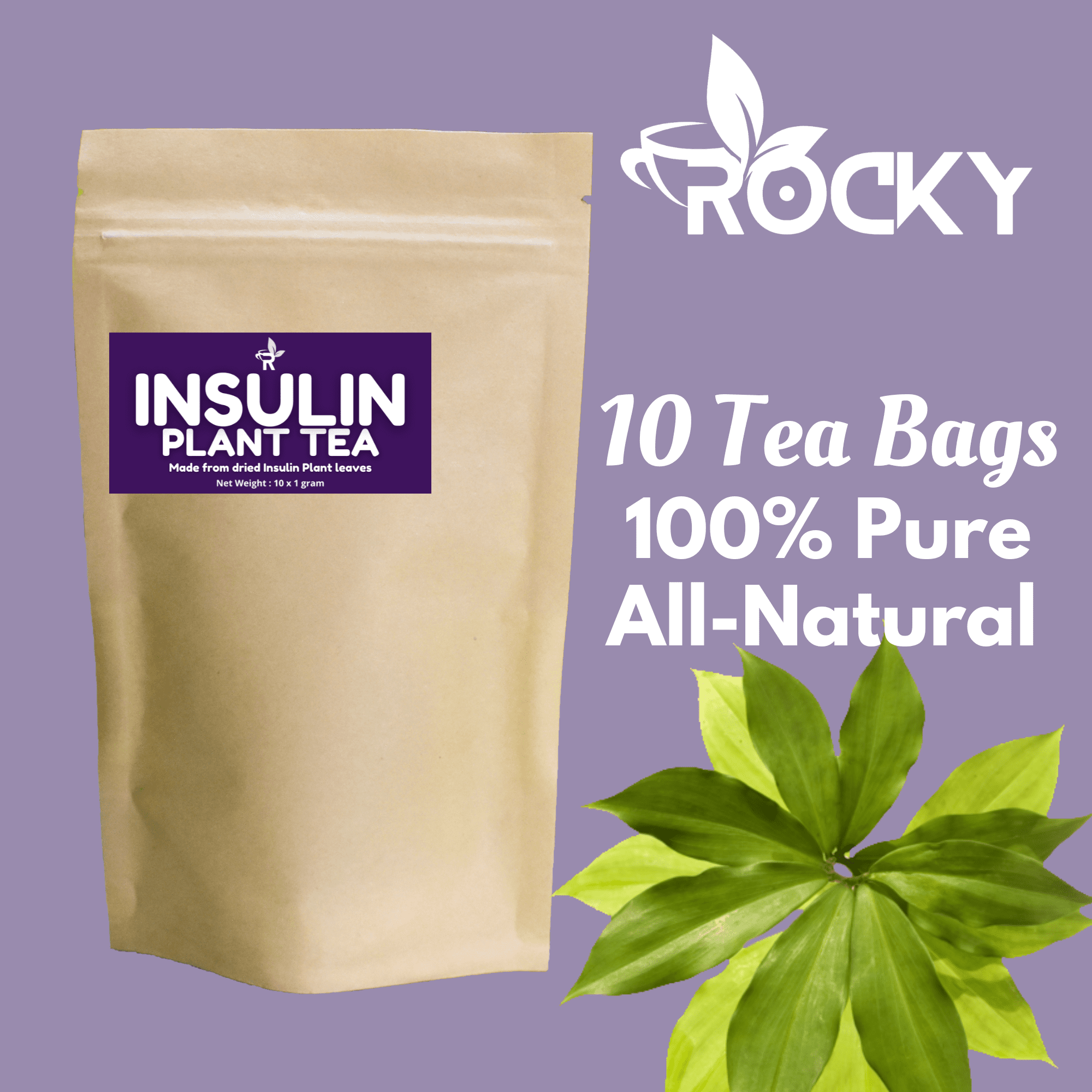 Insulin Plant Tea // 10 x 1 gram // 10 Tea Bags // Herbal Tea | Lazada PH