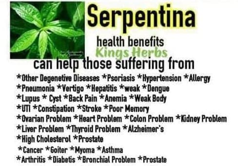 2 BOTTLES ORIGINAL SERPENTINA Food Supplement 500mg 100 Capsules in ...