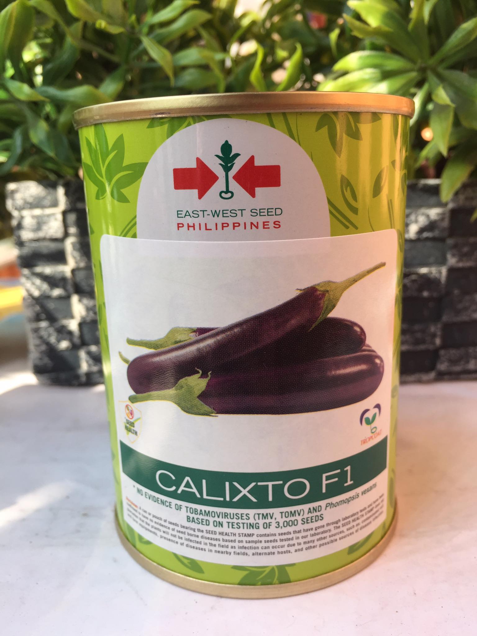 Eggplant (Talong) Calixto F1 East West Seeds 50 gms | Lazada PH