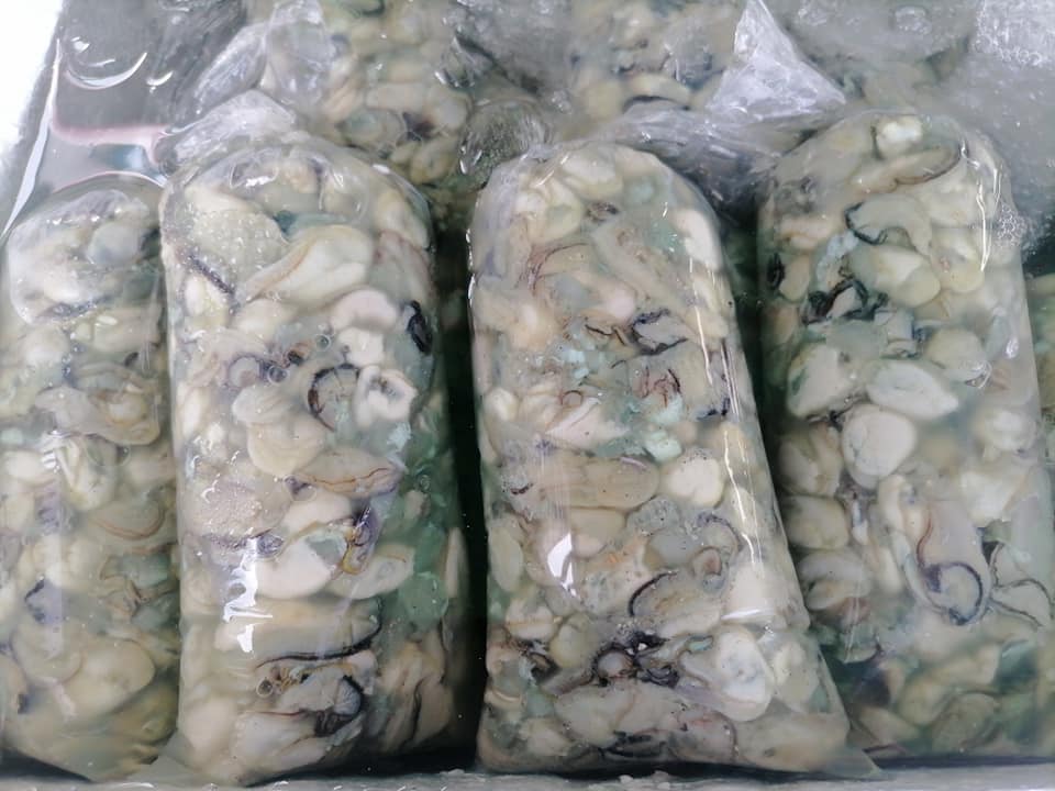 FRESH TALABA MEAT 500G | Lazada PH