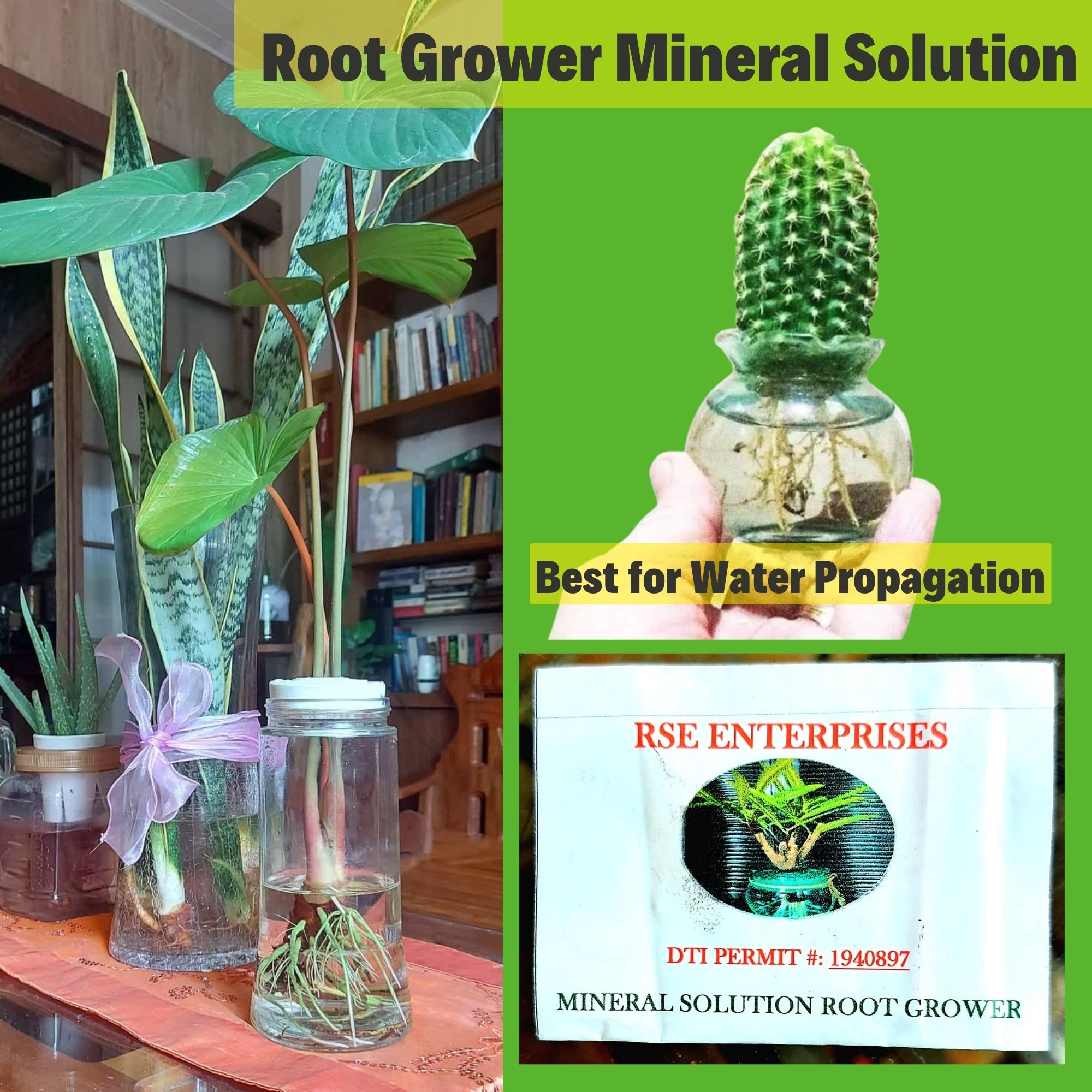 RSE Root Grower Mineral Solution (Best for Water Propagation) | Lazada PH