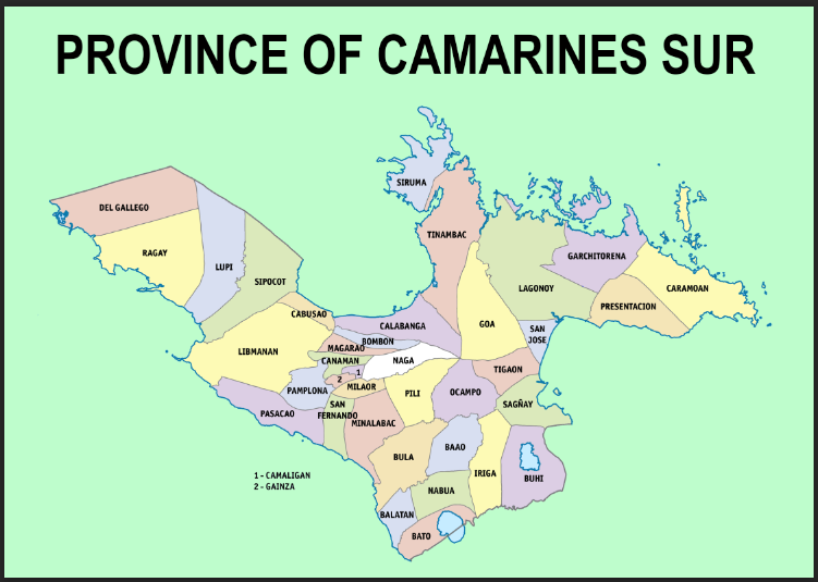 Camarines Sur Province Map Waterproof A4 Laminated Chart | Lazada PH