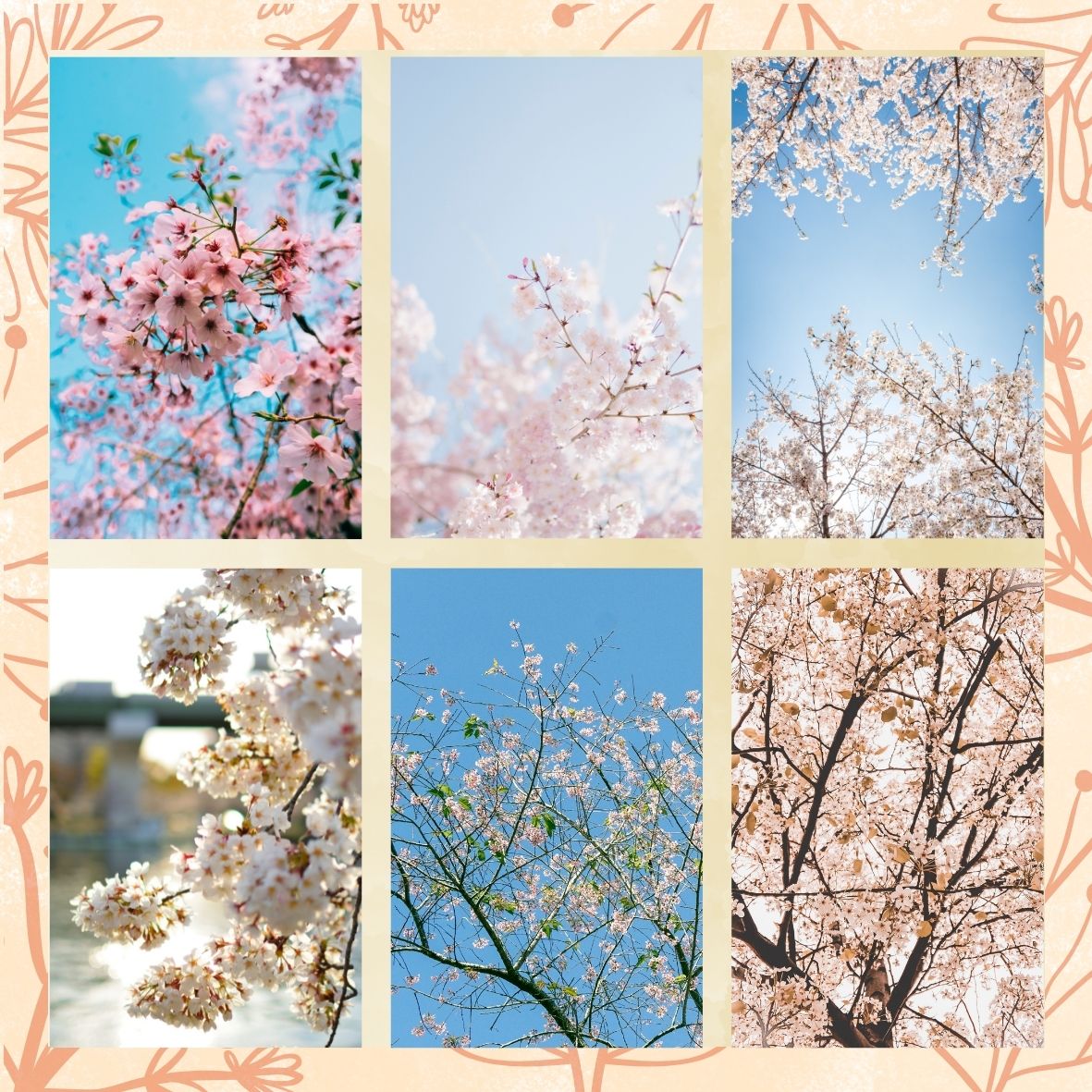 B5/A5/A6/A7 Binder Divider 26/20/6 holes | Cherry Blossom Theme | Lazada PH
