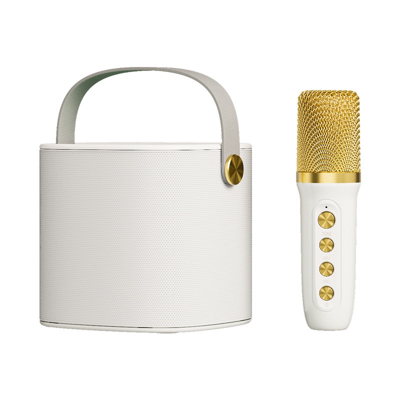 Wireless microphone Bluetooth portable stereo home party Ktv device ...