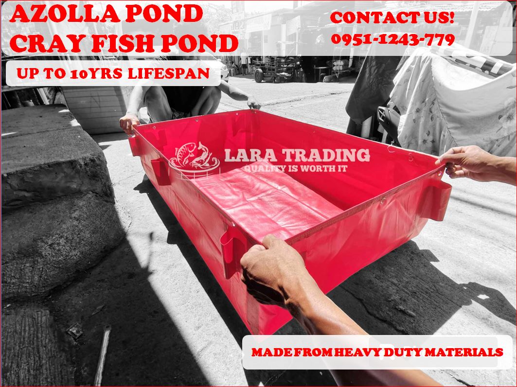 Azolla pond/Bed Trapond Trapal | Lazada PH