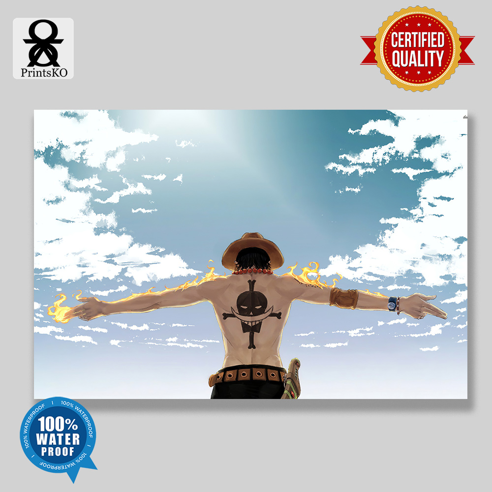 High Quality Tarpaulin / Tarp with Onepiece - OP Character Design ...