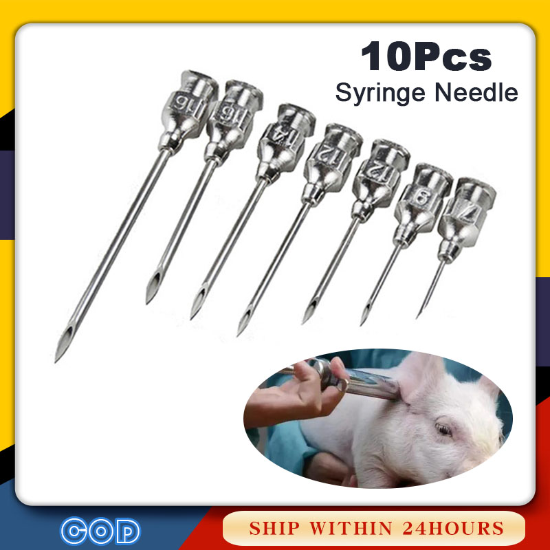 1 Dozen Assorted Sizes Stainless Steel Veterinary Needles Reusable ...