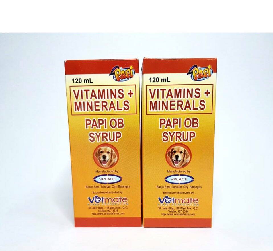 PAPI OB SYRUP Vitamins + Minerals (120ml) | Lazada PH
