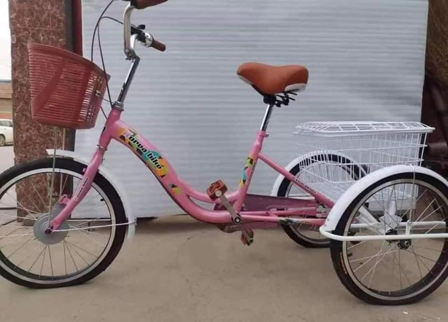 TRIBIKE (3 WHEELS BIKE 2022) CERAMIC FRAME COATED 1X7 SPEED WITH ...