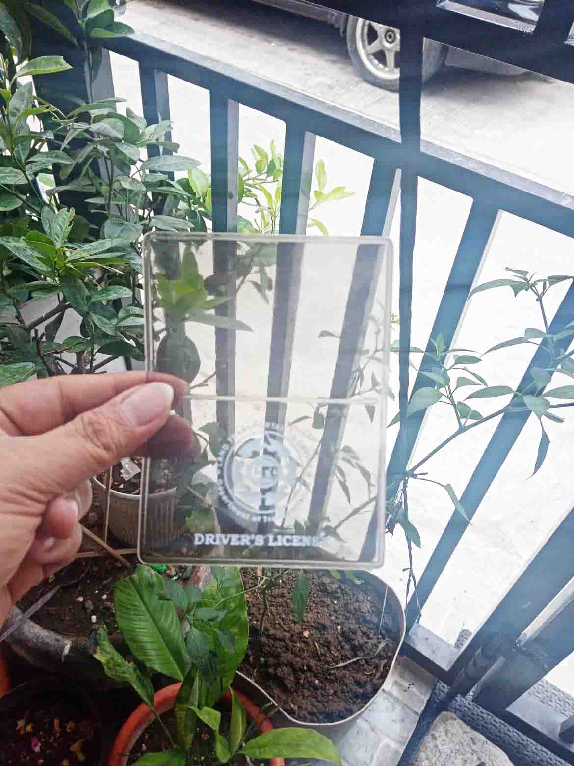 DRIVERS LICENSE ID PLASTIC jacket (Black ) WITH LTO LOGO | Lazada PH