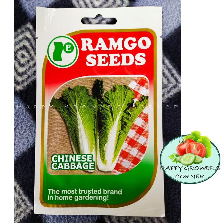 CHINESE CABBAGE MICHIHILI (5 GRAMS) RAMGO SEEDS | Lazada PH