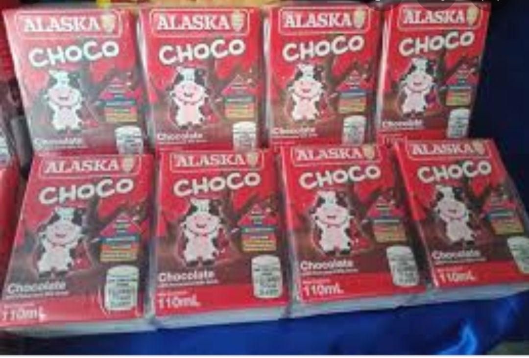 Alaska Choco Drink 110ml | Lazada PH