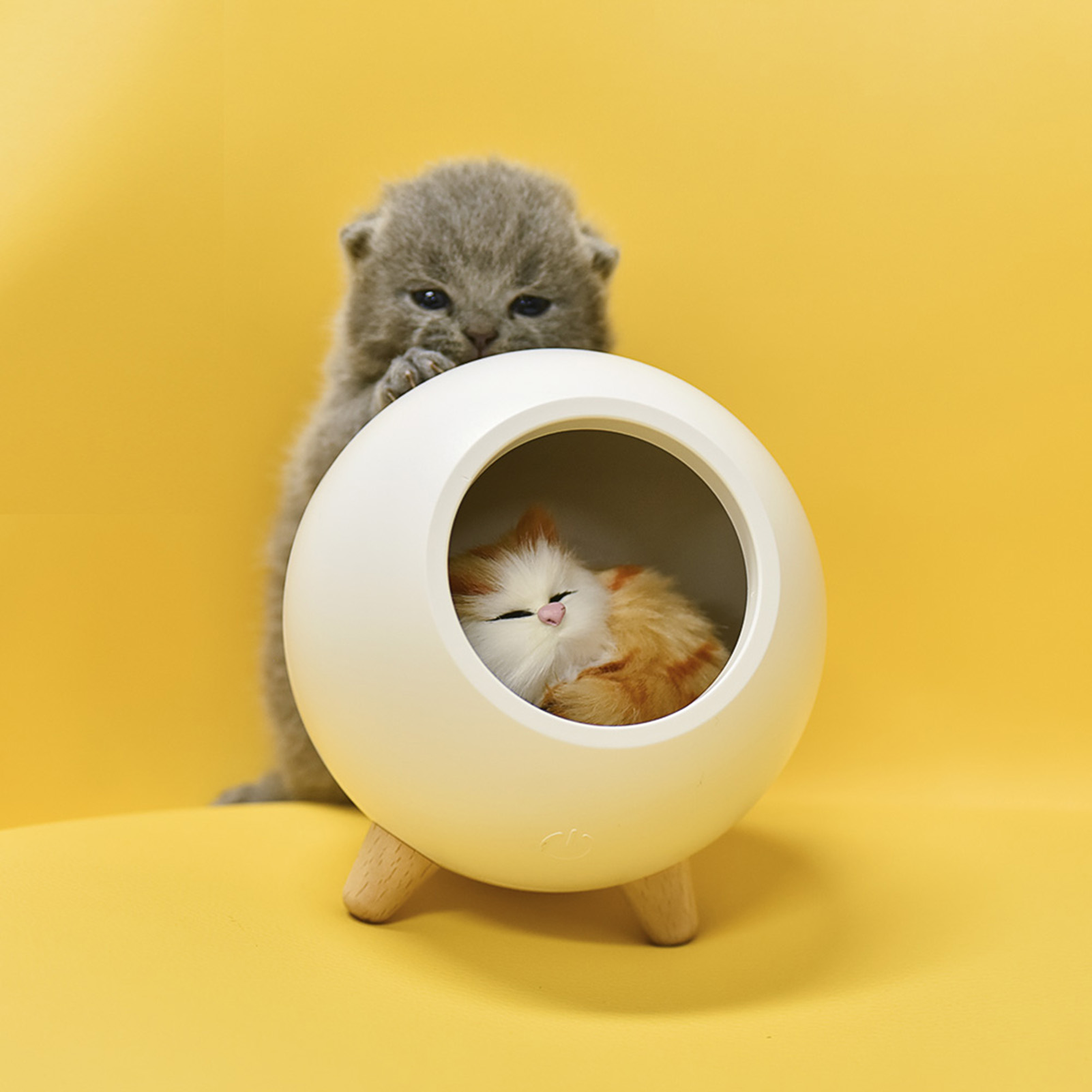 【Best rated&Good quality】Cat Pet House Ambience Lamp LED Night Light ...